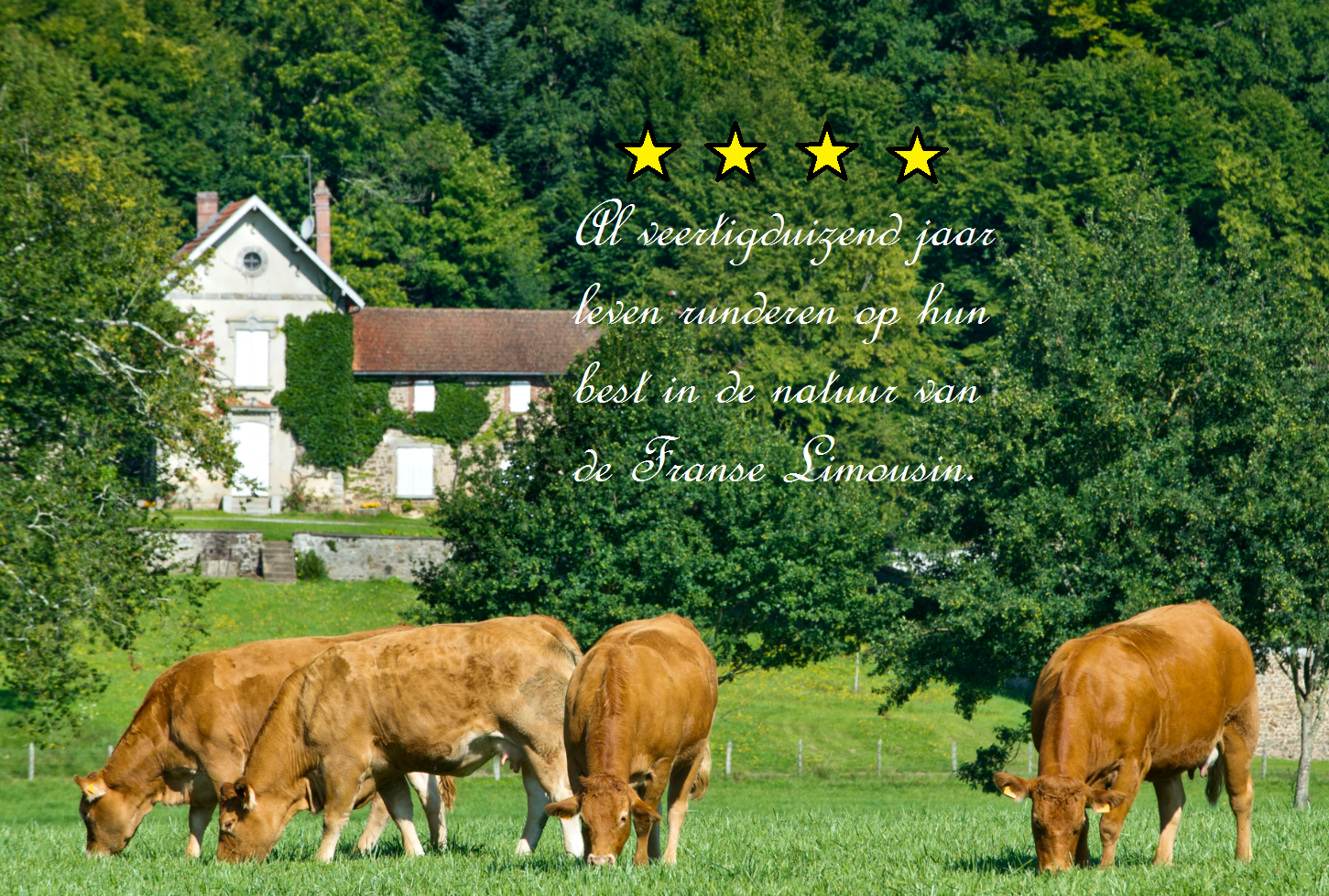 La meilleure vie possible » COFOS FOODS